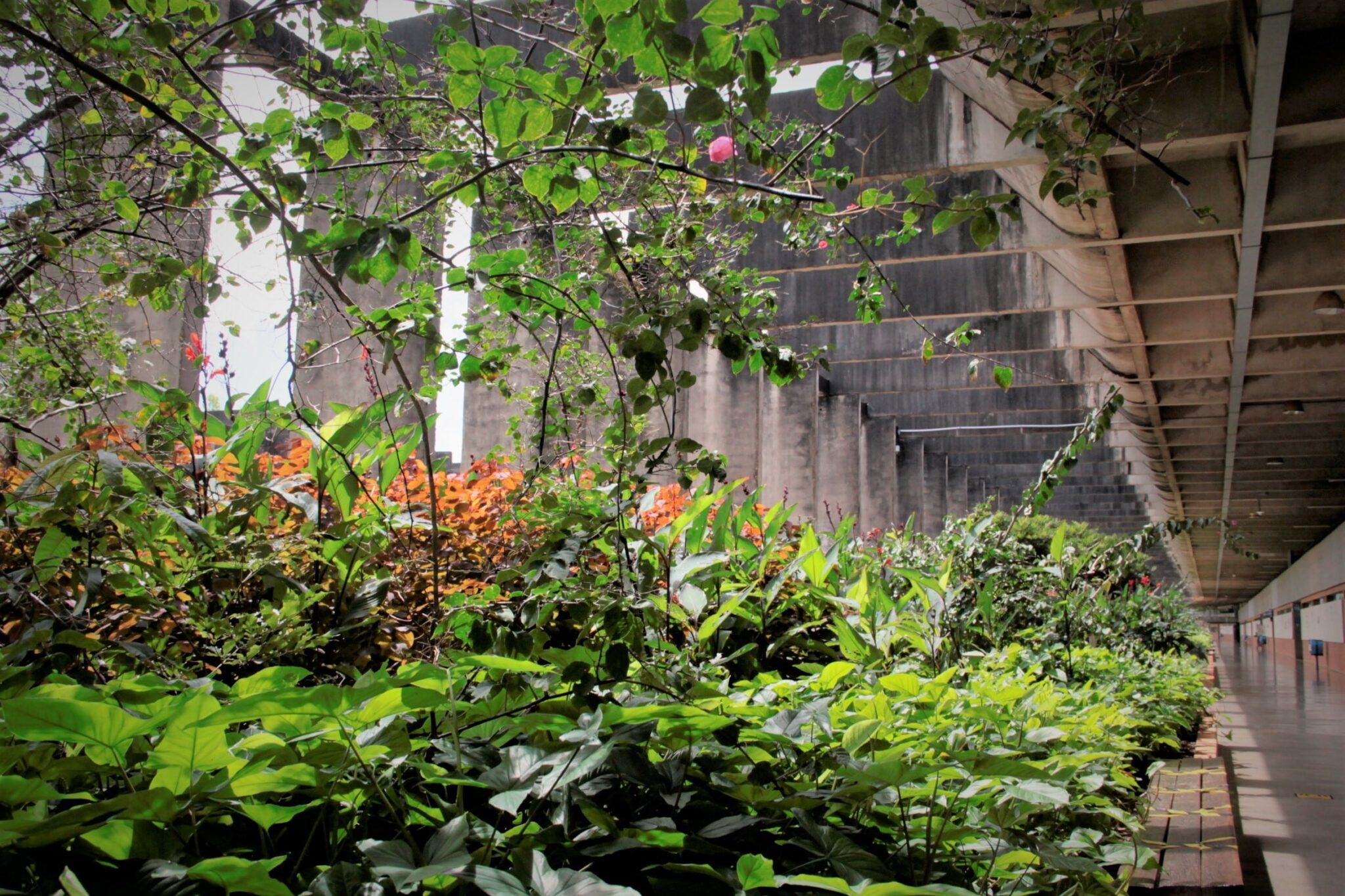 Design UnB – Departamento de Design Universidade de Brasília